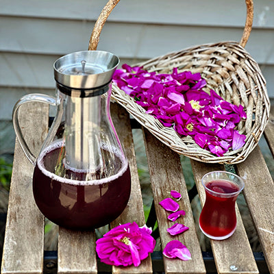 Tibo Iced or Hot Tea Maker – Tay Tea LLC